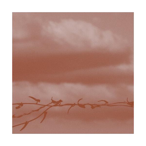 2020/12/4 発売輸入盤レーベル: ROOM40収録曲：