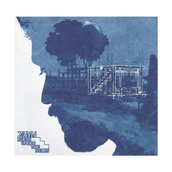 2024/5/17 発売輸入盤レーベル： REPUBLIC RECORDS収録曲：1 Dreamin2 What I Am3 Grateful4 Alienated5 My Woman6 How It Feels7 Stardust8 Ga...