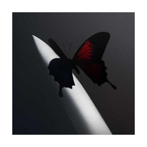 2022/6/3 発売輸入盤レーベル： REPUBLIC収録曲：(ポストマローン)