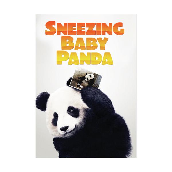 【発売日：2026年02月24日】こちらのＤＶＤは輸入盤ＤＶＤです。リージョン＝フリーのＤＶＤプレイヤーでない場合、再生できない可能性があります。YAHOOショッピングではリージョン＝フリーのＤＶＤプレイヤーもお取り扱いしております。ジャン...