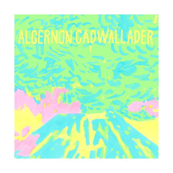 【発売日：2025年09月12日】2025/9/12 発売輸入盤レーベル：SADDLE CREEK収録曲：