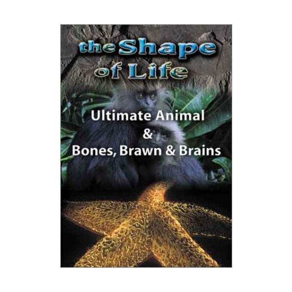 こちらのＤＶＤは輸入盤ＤＶＤです。リージョン＝フリーのＤＶＤプレイヤーでない場合、再生できない可能性があります。YAHOOショッピングではリージョン＝フリーのＤＶＤプレイヤーもお取り扱いしております。種別：DIGITAL VIDEO DIS...