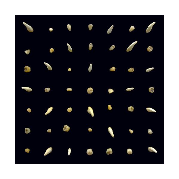 2020/10/23 発売輸入盤レーベル：SUB POP 収録曲：