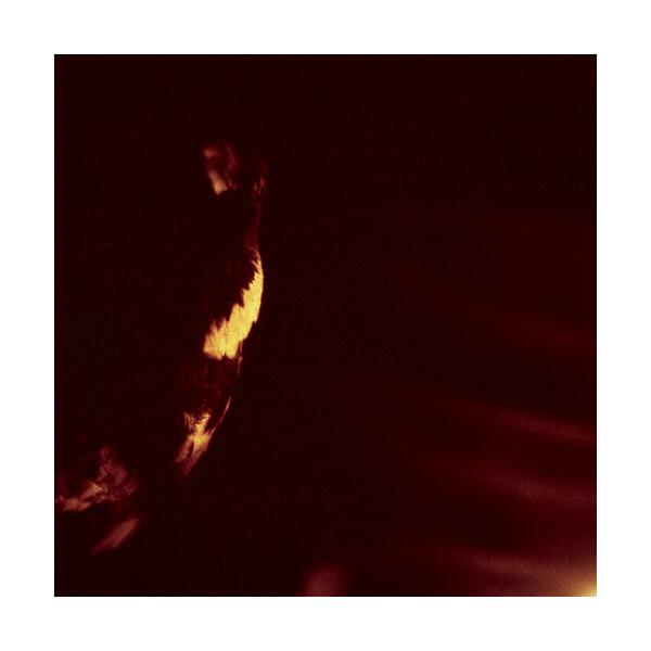 【発売日：2025年11月28日】2025/11/28 発売輸入盤レーベル：SVART RECORDS収録曲：