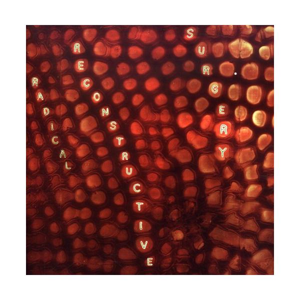 輸入盤収録曲：