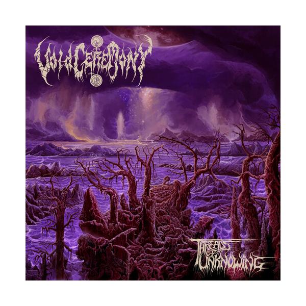 こちらの商品は輸入盤のため、稀にジャケットに多少のスレや角にシワがある場合がございます。こちらの商品はネコポスでお届けできません。2023/4/14発売輸入盤レーベル：20 BUCK SPIN収録曲：