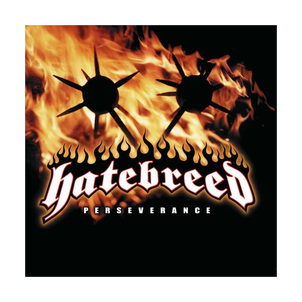 2023/7/21 発売オランダ盤レーベル：UNIVERSAL IMPORT収録曲：