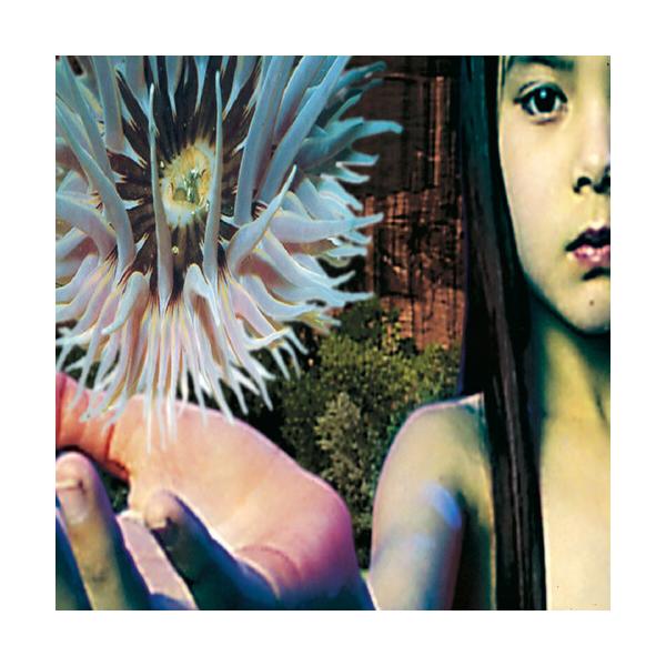 2023/6/9 発売オランダ盤レーベル： VIRGIN INT'L収録曲：
