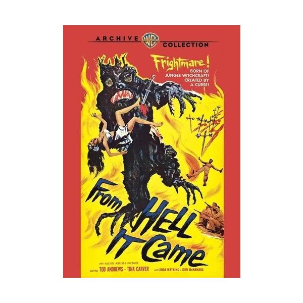 こちらのＤＶＤは輸入盤ＤＶＤです。リージョン＝フリーのＤＶＤプレイヤーでない場合、再生できない可能性があります。YAHOOショッピングではリージョン＝フリーのＤＶＤプレイヤーもお取り扱いしております。種別：DIGITAL VIDEO DIS...