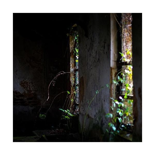 2015/10/9 発売輸入盤レーベル：WHITE PADDY MOUNTAIN収録曲：