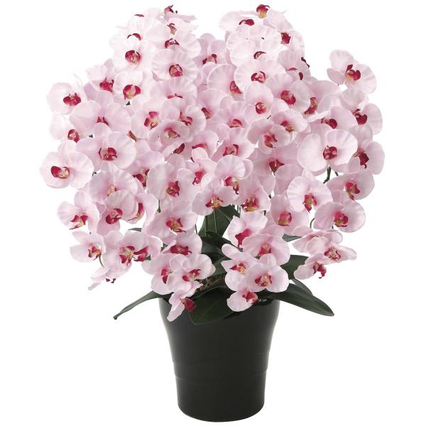 【SIZE】幅55×奥行き50×高さ75cm　鉢：陶器　　　　花：径11cm(最大)×84輪■ギフト対応 (メッセージ・立札)　陶器鉢のためラッピングはリボンのみになります。Green-Artの光触媒「フラワー＆グリーン」インテリア植物に消...