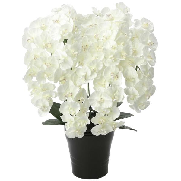 【SIZE】幅55×奥行き50×高さ75cm　鉢：陶器　　　　花：径11cm(最大)×84輪■ギフト対応 (メッセージ・立札)　陶器鉢のためラッピングはリボンのみになります。Green-Artの光触媒「フラワー＆グリーン」インテリア植物に消...