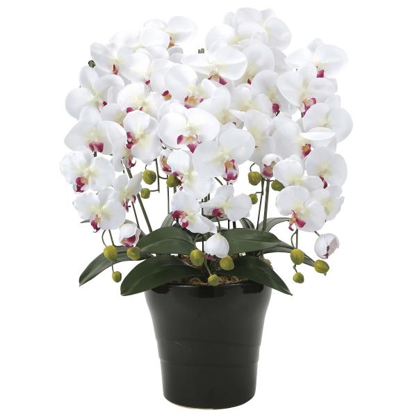 【SIZE】幅53×奥行き50×高さ74cm　鉢：陶器　　　　花：径10.5cm(最大)×45輪　つぼみ×15個　■ギフト対応 (メッセージ・立札)　陶器鉢のためラッピングはリボンのみになります。Green-Artの光触媒「フラワー＆グリー...