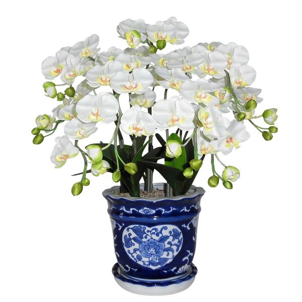 【SIZE 約】幅35×高さ50cm　/花径：約6cm　50輪(プラス蕾30輪)■鉢：陶器　/形状や模様が少し変わることがあります。■ギフト対応：お祝い/贈り物　　(リボンラッピング・メッセージカード/ビジネス向け立札)Green-Artの...