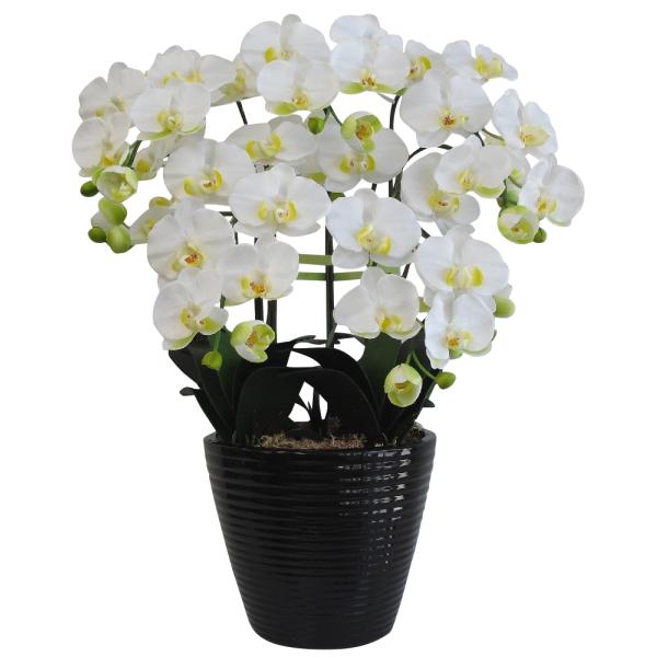 【SIZE 約】幅35×高さ50cm　/花径：約6cm　50輪(プラス蕾30輪)■鉢：陶器　/形状や模様が少し変わることがあります。■ギフト対応：お祝い/贈り物　　(リボンラッピング・メッセージカード/ビジネス向け立札)Green-Artの...