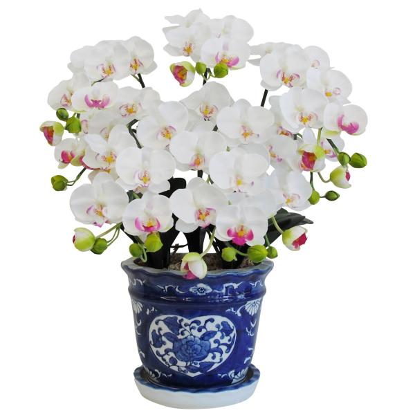 【SIZE 約】幅35×高さ50cm　/花径：約6cm　50輪(プラス蕾30輪)■鉢：陶器　/形状や模様が少し変わることがあります。■ギフト対応：お祝い/贈り物　　(リボンラッピング・メッセージカード/ビジネス向け立札)Green-Artの...