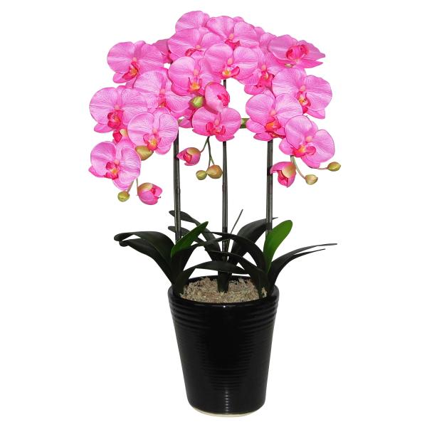 【SIZE 約】幅35×奥行35×高さ65cm　/花径：約8-9cm　24輪(プラス蕾15輪)■鉢：陶器　/形状や模様が少し変わることがあります。■ギフト対応：お祝い/贈り物　　(リボンラッピング・メッセージカード/ビジネス向け立札)Gre...