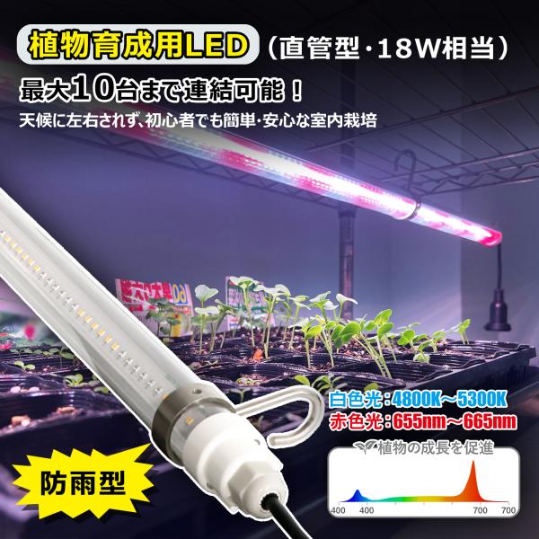【発売日：2026年02月12日】品名：植物育成用 LED直管ライト（連結可）品番：SL-G120PJANコード：4571461864372入力電圧：AC100V 50/60Hz兼用消費電力：18W（±5%）最大連結本数：10本AC差込プラ...