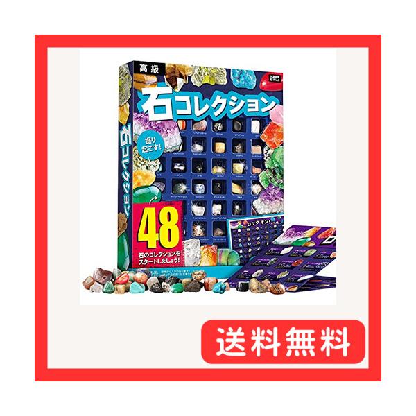 鉱石標本48種/ワンサイズ/-・XXTOYS 48種鉱石標本セット：このセットには天然石と鉱物が48つあります。 中には、アメジスト、ローズクォーツ、黒曜石など有名な石があります。どれも厳選されていますよ注意：石と鉱物は全部天然なので、色と...