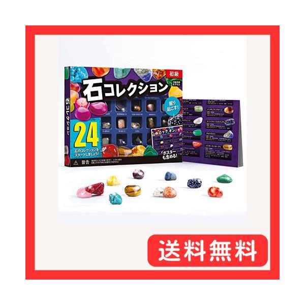 天然鉱石24種混合カラー/ワンサイズ/-・多様な岩石コレクション オパール、ローズクォーツ、デザートローズ、レッドジャスパー、ブルーアベンチュリンなどの素晴らしい標本を含む 24 種類の天然岩石と鉱物をご覧ください。この子供向けのスカートコ...