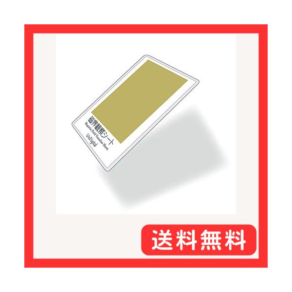 無色/100mm x 70mm/-・磁界観察シートは人間の目には見えない磁界（磁場）を視覚化するためのシートです。・台紙付きで使いやすくなりました。・台紙の大きさ：厚さ0.6×135×95mm、磁界観察シートの大きさ：100×70mm・繰り...