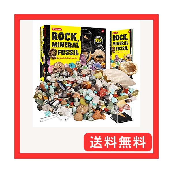 天然鉱石250個-/ワンサイズ/-・究極の岩石、化石、鉱物コレクション: 独立したコレクションとしても、お子様の岩石コレクションに追加しても最適です。私たちはあなたに代わって土の中を旅してふるいにかけ、あなただけのために 250 種類以上の...
