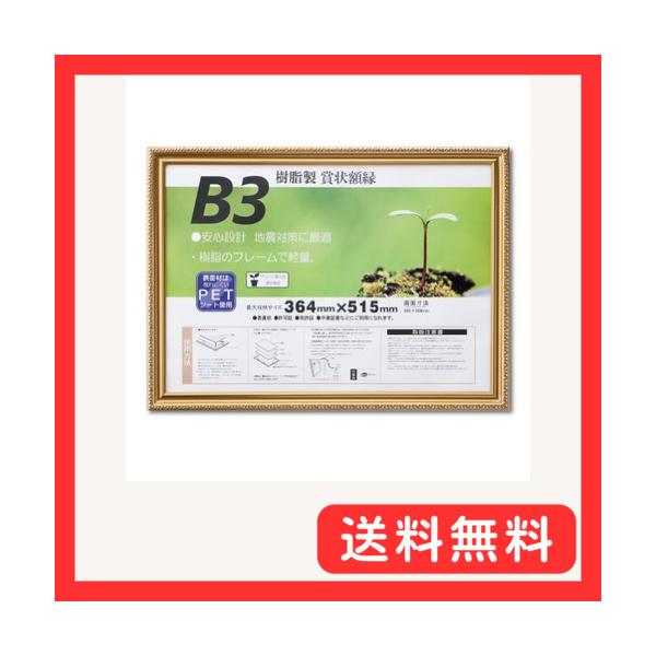 樹脂製(シュリンクパック)ゴールド/B3/J045B4400・Size:B3Style:樹脂製(シュリンクパック)・パッケージ個数:1・本体寸法:41.3×56.4cm・表面材:PET(ペット)シート・フレーム材:樹脂製・吊カン・吊紐付き・...