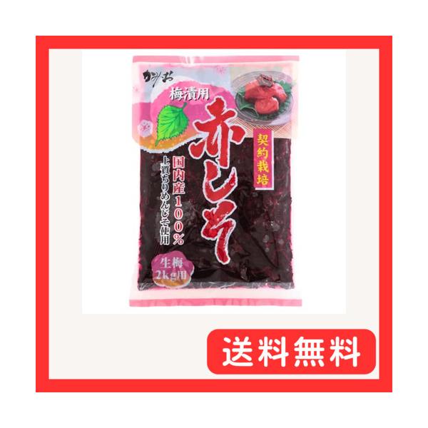 -/500グラム (x 2)/-・パッケージ個数:2・しその葉の塩漬け・「梅漬け」はもちろん「しょうが漬け」「みょうが漬け」等にもご利用頂けます。・サイズ: 500グラム (x 2)・パッケージ重量: 1.14 kg