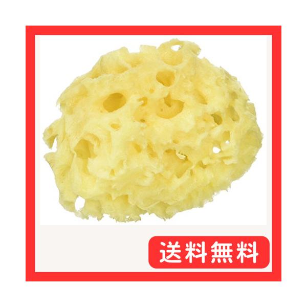 天然カイメンマルチカラー/1個 (x 1)/10214・パッケージ個数:1・ふわふわのやわらかさ 日常のお手入れに。・製造国 日本・対象 0ヶ月 ~