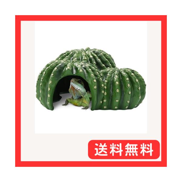 カジュアル緑色/225 x 22 x 10 cm/-・Size:225 x 22 x 10 cmColor:緑色・安らぎの場所: Navarisのウェットシェルターはペットの快適さを考慮してデザインされており、大切なペットの爬虫類が安心して...