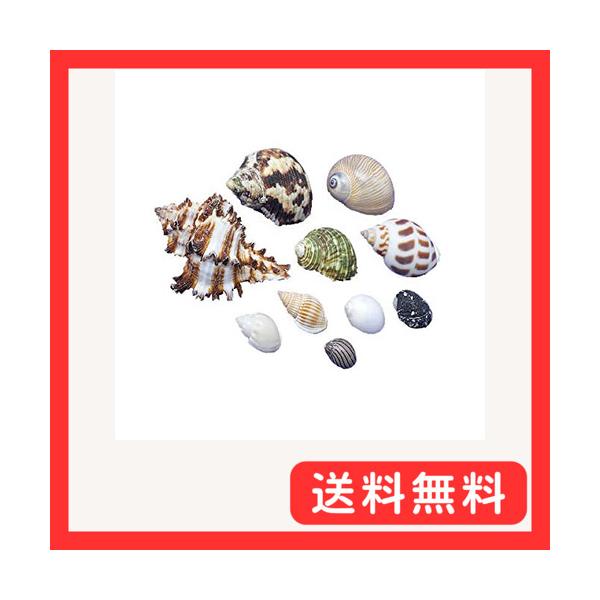 パッケージ個数:1