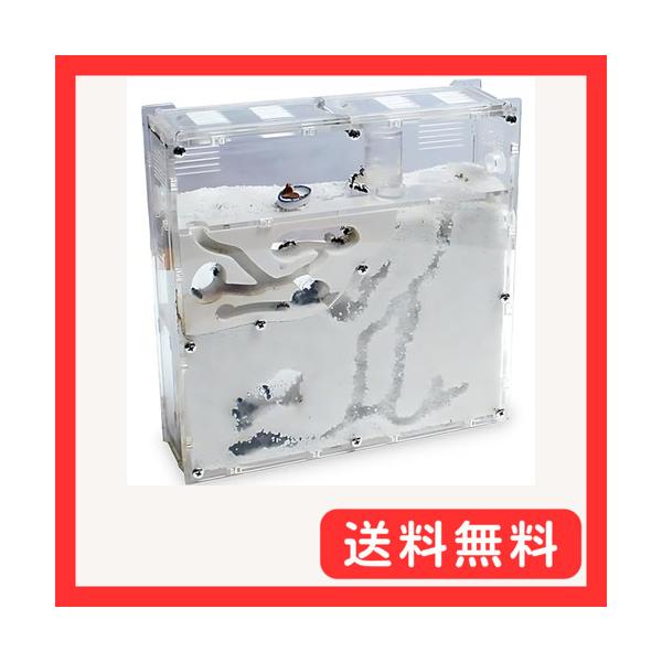 パッケージ個数:1・アリの巣観察キット。すぐ始められる9点セット（飼育ケース、飲水器、エサ入れ、掃除刷毛、虫眼鏡、注水ボトル、じょうご、ピンセット、綿棒）砂は別途ご用意下さい。・この商品はアリを含まないよ〜公園などでアリを採集し、3D空間に...