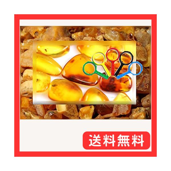 -/245 × 160mm/-・コーパルの中に昆虫が発見できるかも？（コーパルの中に必ずしも虫が入っているとは限りません。）・コーパルはやわらかく研磨が容易で、お子様でも簡単に磨くことができます・コーパルは琥珀と同じ樹脂の化石です。若い琥珀...