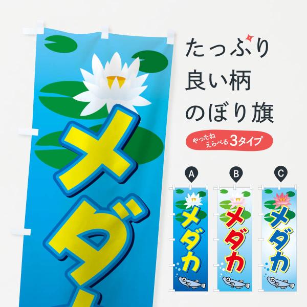 7AAJ のぼり旗 メダカ●のぼり旗の内容 :のぼり旗 メダカ●印刷 : フルカラーダイレクト印刷●基本サイズ : 60cm×180cm （リサイズ変更できます）●その他用途に合わせて選べるサイズ。●生地 : ポンジ、テトロンポンジ（一般的...