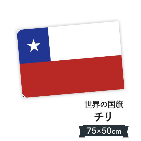 はためきやすさを追求したとても軽い生地の国旗です。風の強い中でもポールに負担がかかりにくく、手持ちでも風で煽られにくい、扱いやすい国旗です。ハトメの位置を変えられるから横2箇所でポール使用。上2箇所で屋内で。4箇所で天井に吊るしたりも。チリ...