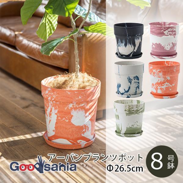 81040 81042 81144 81145 81146 8号 8号鉢 POSH LIVING 植木 鉢 鉢植え プランツポット ガーデニング 園芸 園芸ポット グリーンポット ポット 軽い プラスチック 植物 グリーン プラスチック鉢 ...