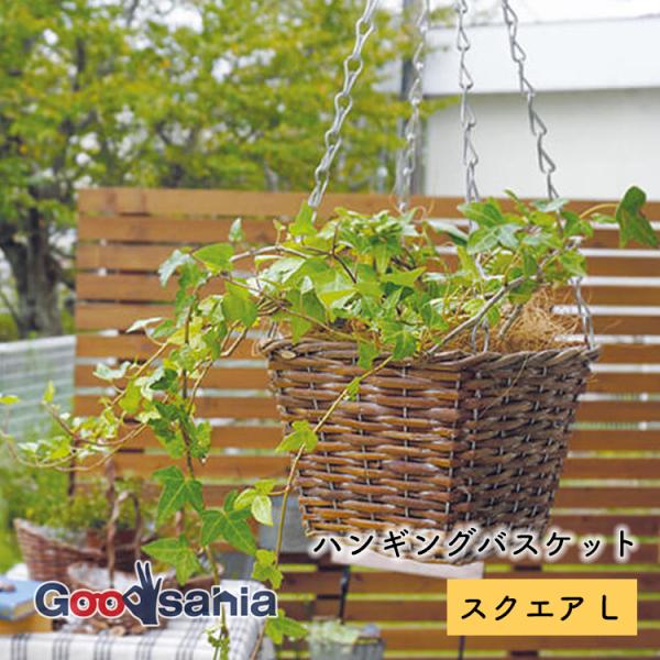 ・天然素材の柳で編み込まれたバスケットです。・フック付きのハンギングタイプなので、長さの出る蔓性の植物にもおすすめです。・お花やグリーンを吊るして、おしゃれにディスプレイできます。・内側にはビニールが付いているので室内でも安心です。・鉢カバ...