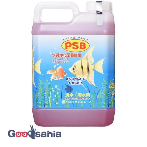 ・水質改善と魚の健康をサポートする生きたバクテリア剤です。・生物的ろ過で重要な役割を果たす生きたバクテリアが、汚れのもとになる有害有機物を分解し、魚が快適に過ごせる自然に近い水をつくります。・さらに、ビタミンが魚の元気を維持し、共生する放線...