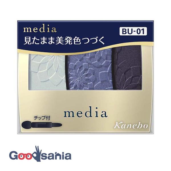 見たまま美発色つづくグラデアイシャドウ