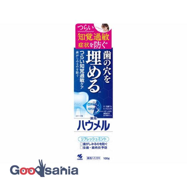 ハウメル 100g 歯磨き粉 歯みがき 薬用 ハミガキ 知覚過敏歯がしみる原因であるミクロの「歯の穴(象牙細管)」を埋め、つらい知覚過敏症状を防ぎます。乳酸アルミニウムにより歯がしみるのを防ぐ。硝酸カリウムが、痛みの伝達を防ぎます。クセが少...