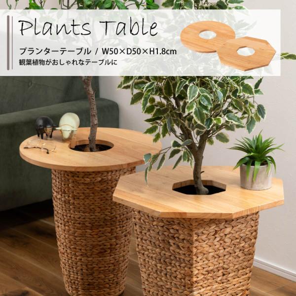 プランターテーブル HOW-014NA/HOW-015NA ●ランターの上に設置するだけで、観葉植物がおしゃれなテーブルになるアイテムが登場しました。●ダボをはめ込むだけで簡単にセットする事が可能です。●やさしい印象のサークルタイプと、壁付...