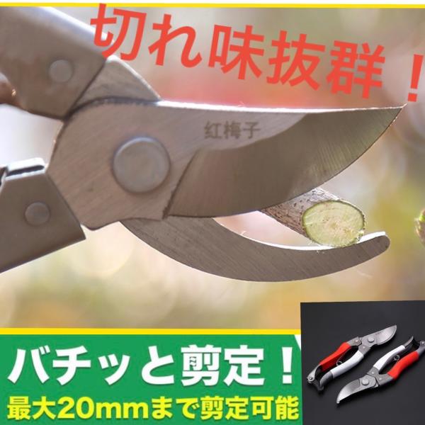 【発売日：2024年01月26日】【特徴】■切れ味20ｍｍまでカット可能！切れ味の良い刃で、太い枝も楽々切断■使いやすさ手の形状に合わせたグリップなので、疲れ軽減！■安全面ロック機能付きなので、使わない時も安心！【商品色】・シルバー重量：約...