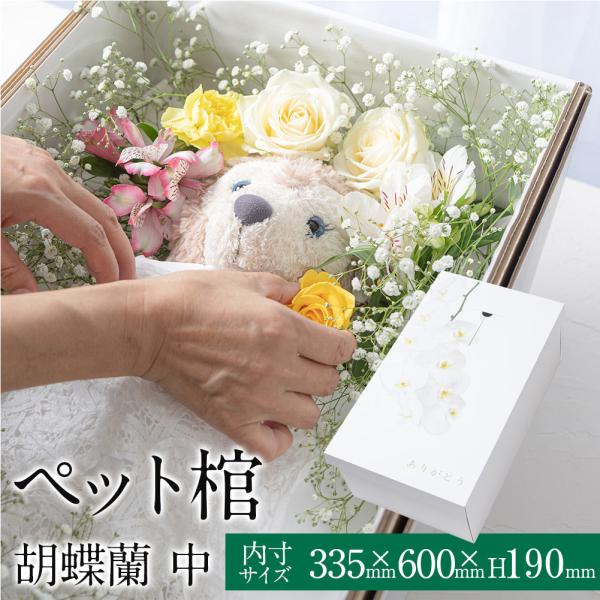 ◆◆◆◆◆◆◆◆ペット用棺「やすらぎ」胡蝶蘭（中）・サイズ内寸： 幅335mm×長さ600mm×高さ190mm(2024年9月より棺の高さ変更しております)◆◆◆◆◆◆◆◆・大切なご家族を（ペット）を火葬までの間、安置いただけるダンボール製...