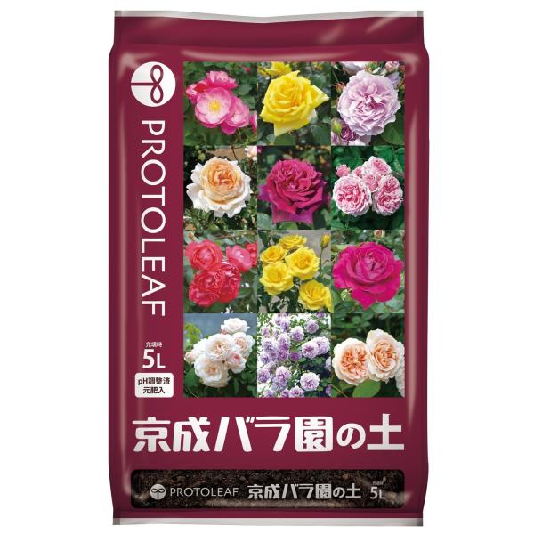 【ご購入後の当店からの連絡はご登録のメールアドレスに通知いたします。必ずご確認ください】