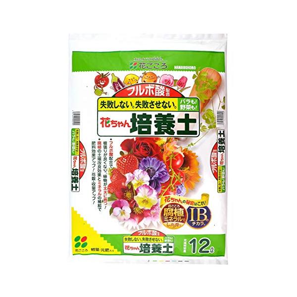 【ご購入後の当店からの連絡はご登録のメールアドレスに通知いたします。必ずご確認ください】