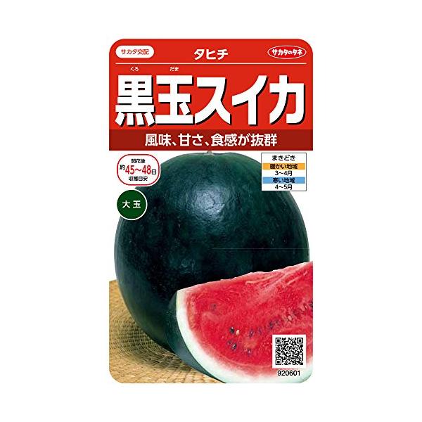 【ご購入後の当店からの連絡はご登録のメールアドレスに通知いたします。必ずご確認ください】【商品概要】切替月:11月詰量:13粒発芽率:90採苗本数:-春秋扱い:春のみ品種春:○【商品説明】説明「サカタのタネ」の野菜種です♪【商品詳細】ブラン...