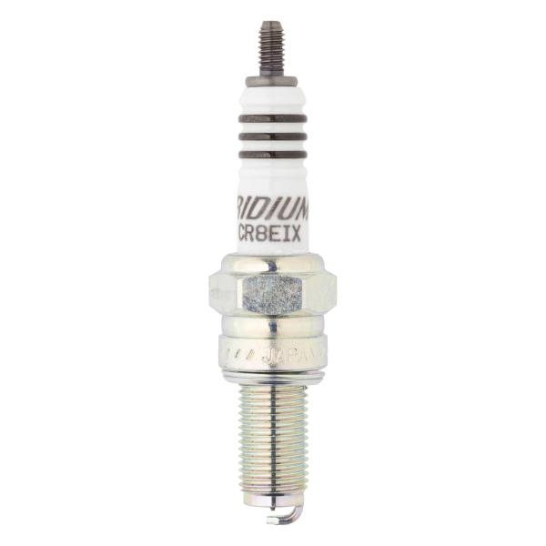 【ご購入後の当店からの連絡はご登録のメールアドレスに通知いたします。必ずご確認ください】