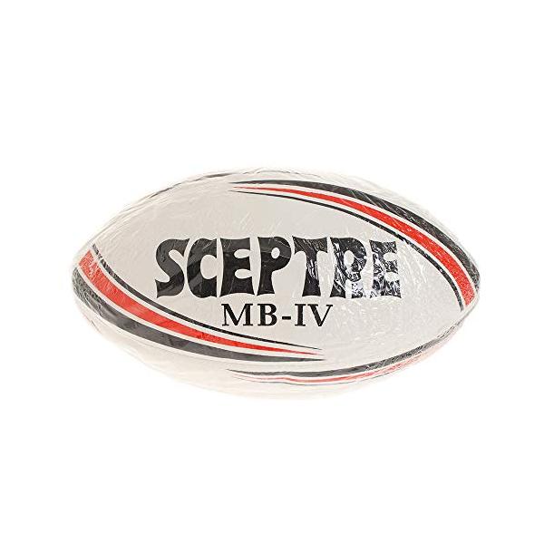 【ご購入後の当店からの連絡はご登録のメールアドレスに通知いたします。必ずご確認ください】【商品概要】カラー:ブラック×レッドサイズ:4号球素材:特殊ラバー【商品説明】小学生・スクール用4号球。高学年用【商品詳細】ブランド：SCEPTRE(セ...