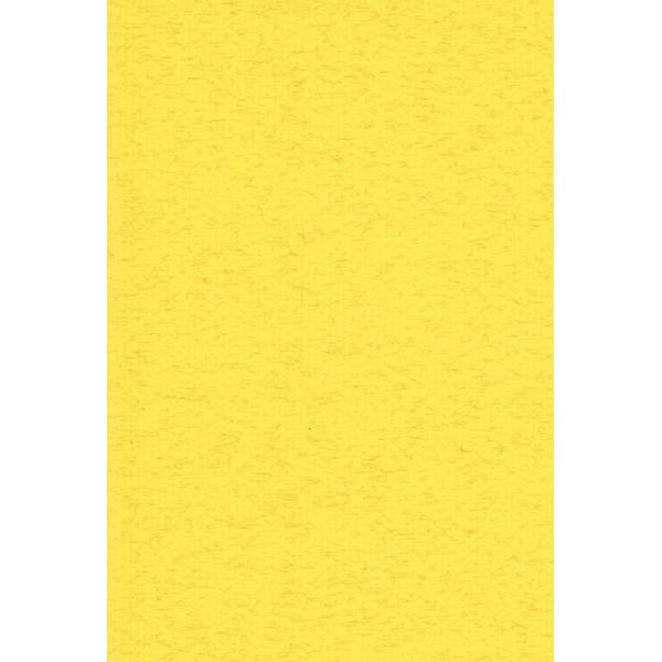 【ご購入後の当店からの連絡はご登録のメールアドレスに通知いたします。必ずご確認ください】【商品概要】210mm×297mm材質:パルプ【商品説明】【商品詳細】ブランド：エスケント商品種別：ホビー商品名：エスケント 色画用紙 ミューズコットン...