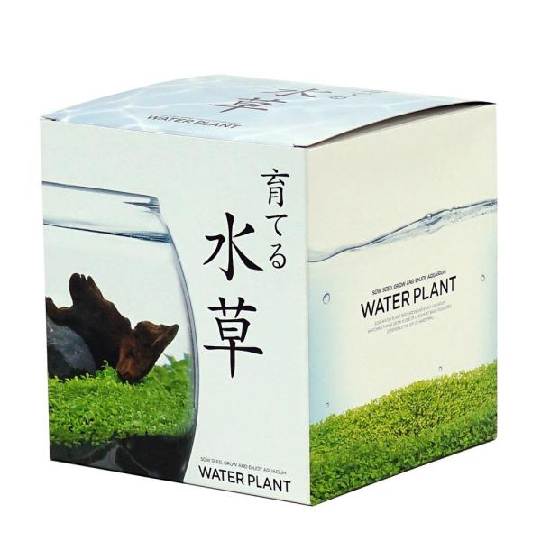 【ご購入後の当店からの連絡はご登録のメールアドレスに通知いたします。必ずご確認ください】【商品概要】セット内容:ガラス鉢 土 種 石×2ヶ 流木 説明書原産国:日本サイズ:18.2x16.5x16.4cm球体のガラス鉢に光が差し込み、いっそ...